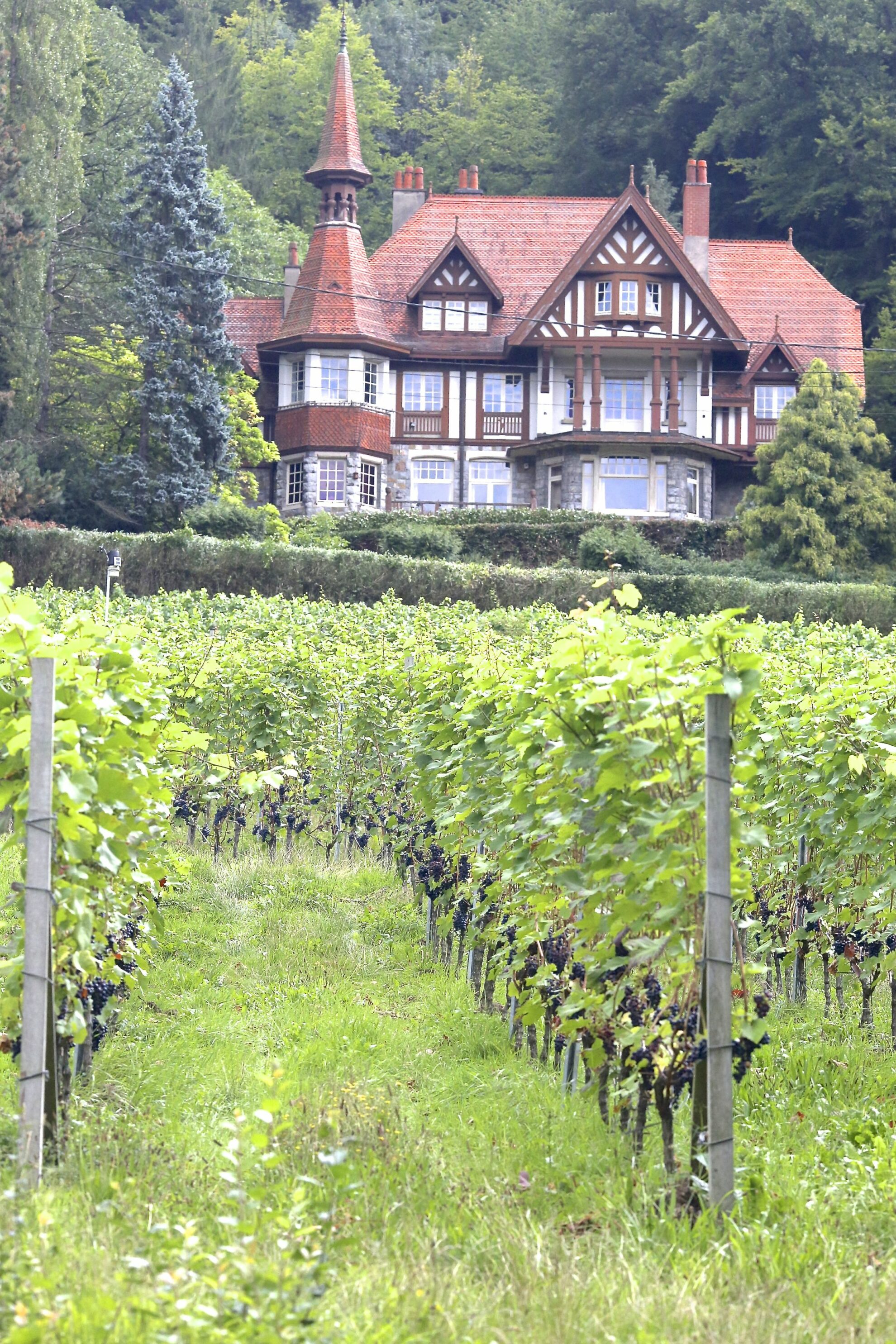 Les Sybarites | Château Bon Baron